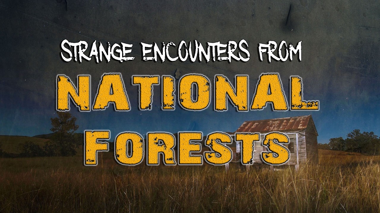4 Super STRANGE and BIZARRE Encounters From NATIONAL PARKS - YouTube