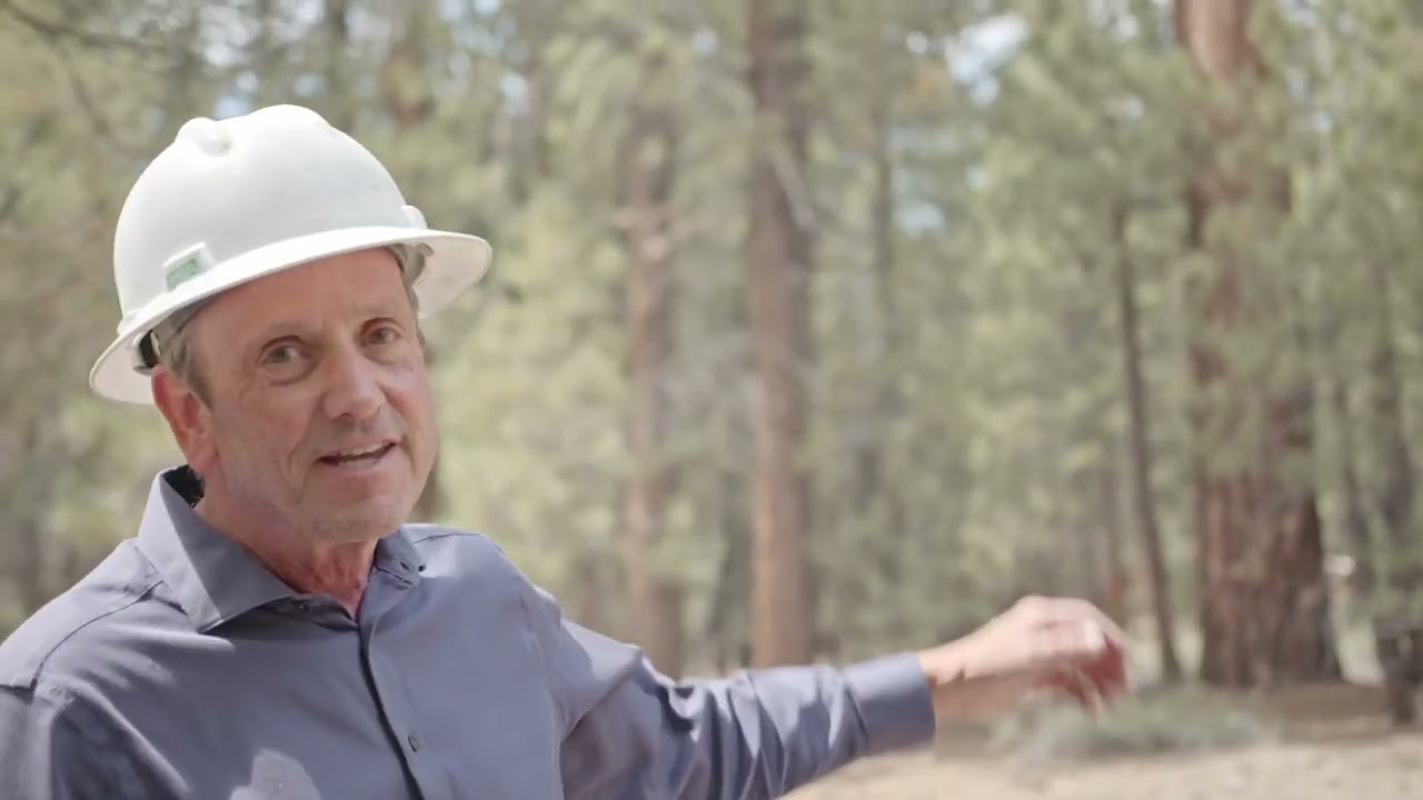 Malcolm North | We the Forest Profile - YouTube