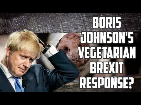 Boris Johnsons Response To Pig Farmers Culling Animals Due To Brexit!