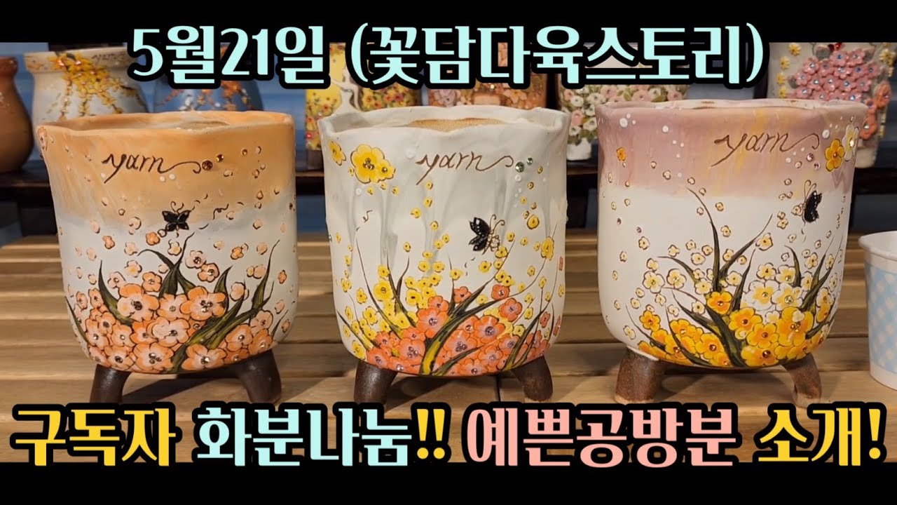 5월21일 예쁜공방분과 이벤트추첨꽃담다육스토리예쁜화분화분싸게파는곳다육식물多肉植物succulents다육이꽃담화분다육화분꽃담다육스토리화분 Youtube