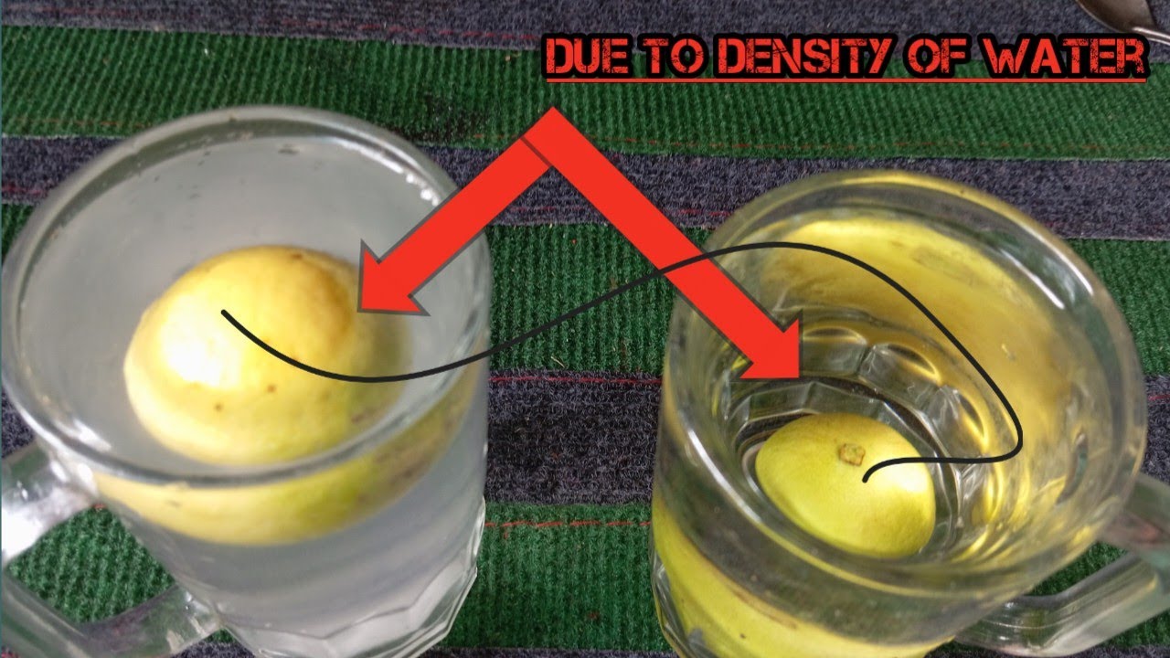 Simple Science Experiment||Chapter Density Of Water - YouTube