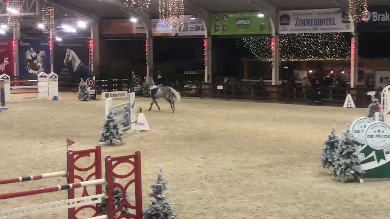 Antrax d’amas AD Z (Asca Z x Quinar) 2012 stallion, 1.40m class - YouTube