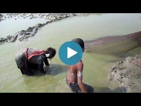 organic and natural fish farming | rural fish catching | pisciculture ...