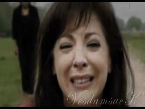 ¿Qué hay dentro de Bárbara Guaimaran? - The All Spark - YouTube