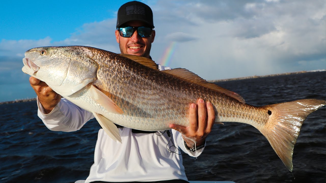 treasure of the elemental trophy The Story of the TOUGHEST Fish of My ...