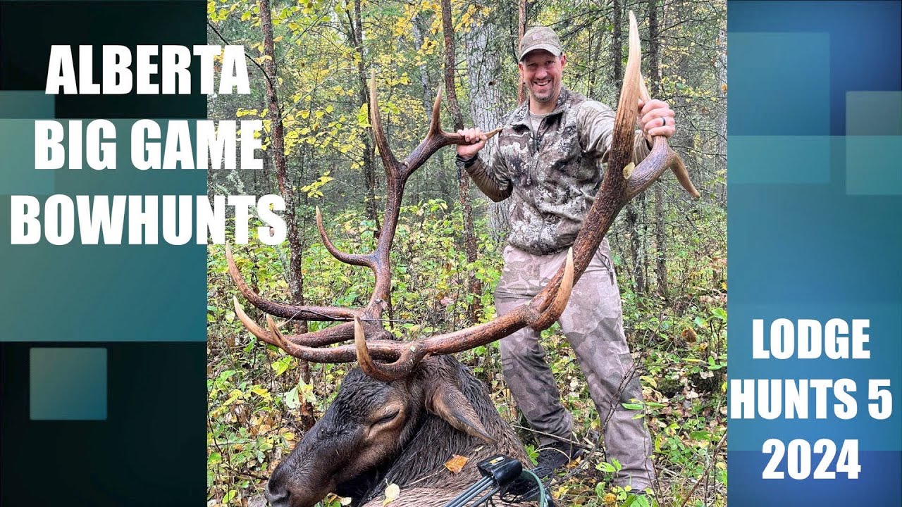 Alberta Big Game Bow Hunts - Lodge Hunts 5 - YouTube