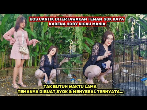 Bos cantik ditertawakan teman lama karena hobi kicau mania, tak butuh waktu lama temanya menyesal