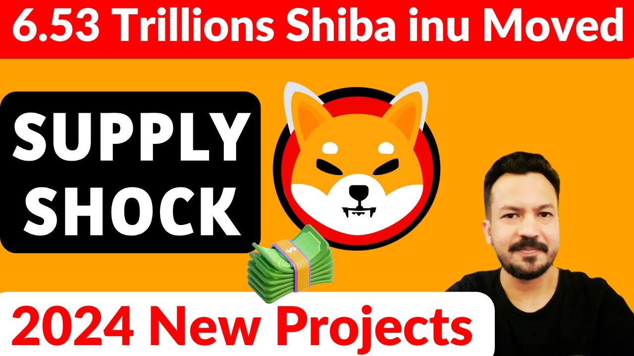 Whales are Hungry | Stacking-Up Trillions of Shiba inu coin latest news ...