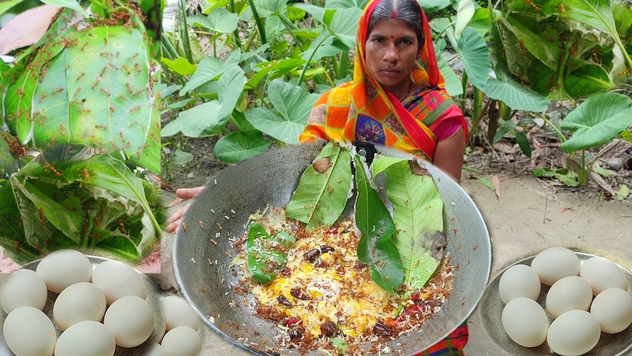 amazing catching rad ant & egg mix fry Cooking &Eating,red ant fry in ...