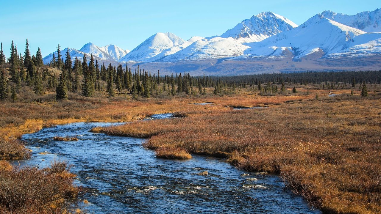 ALASKA: The First 24 Hours - EP. #144 - YouTube