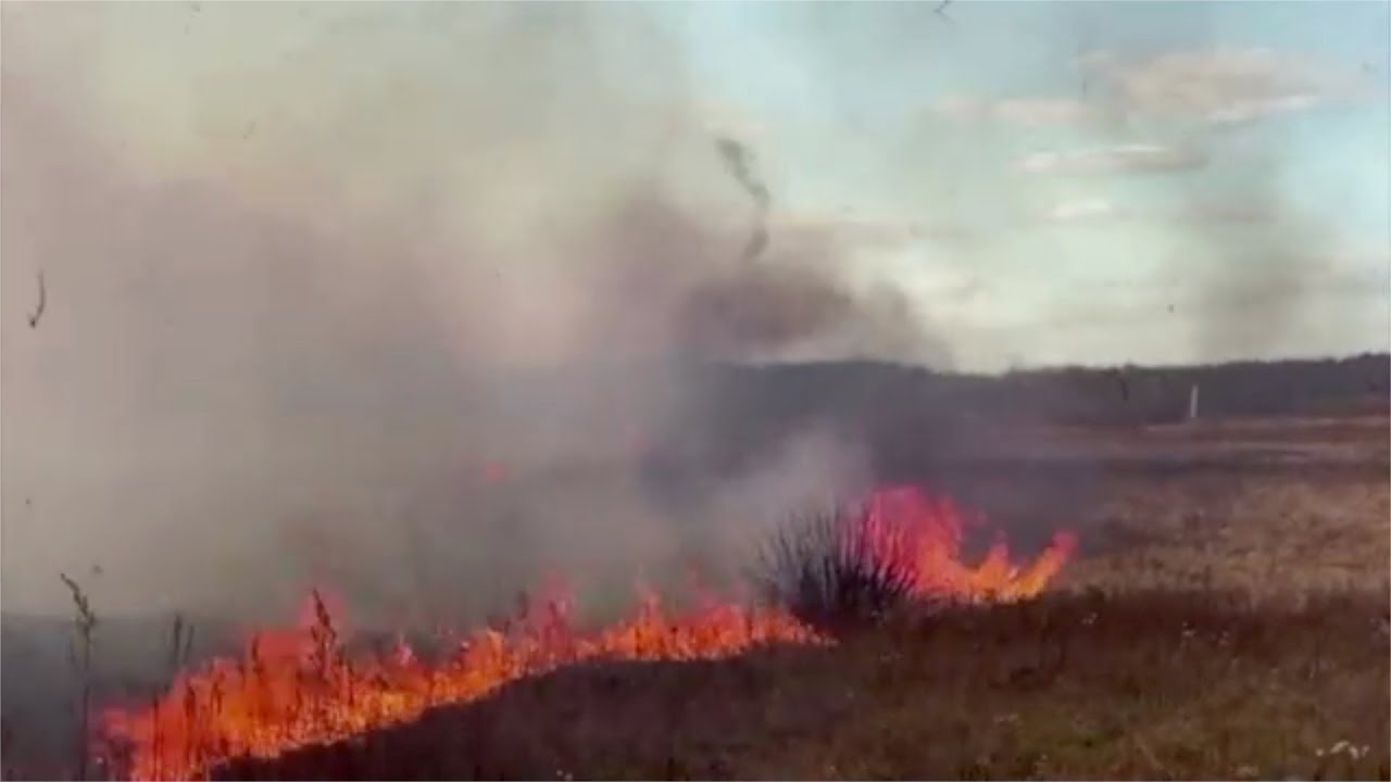 Chernobyl radiation 'exceeds norm' as forest fires rage - YouTube