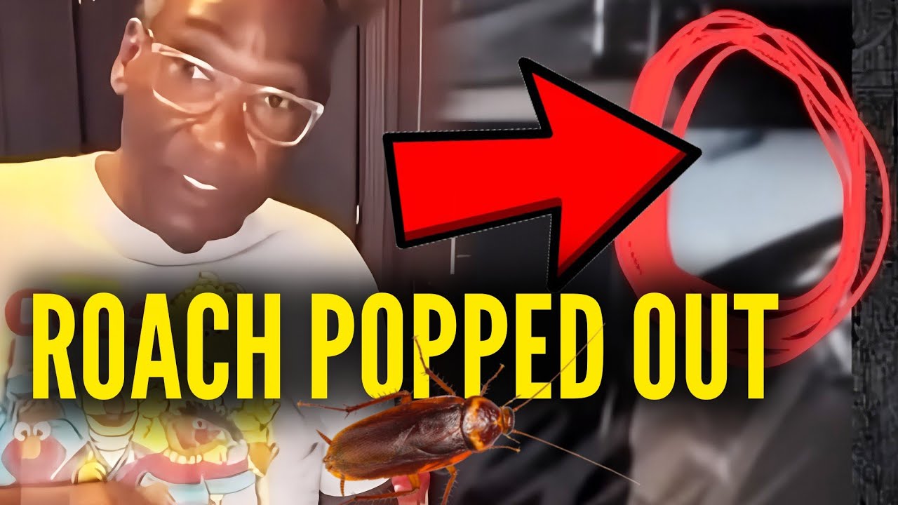 Ms Netta ROACH Popped Out Diring LIVE While Talking About Roaches ...