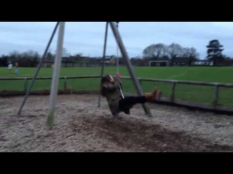 Jessy on the zip wire!