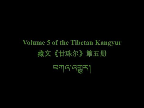 005 Volume 5 of the Tibetan Kangyur 藏文《甘珠尔》第五册 - YouTube