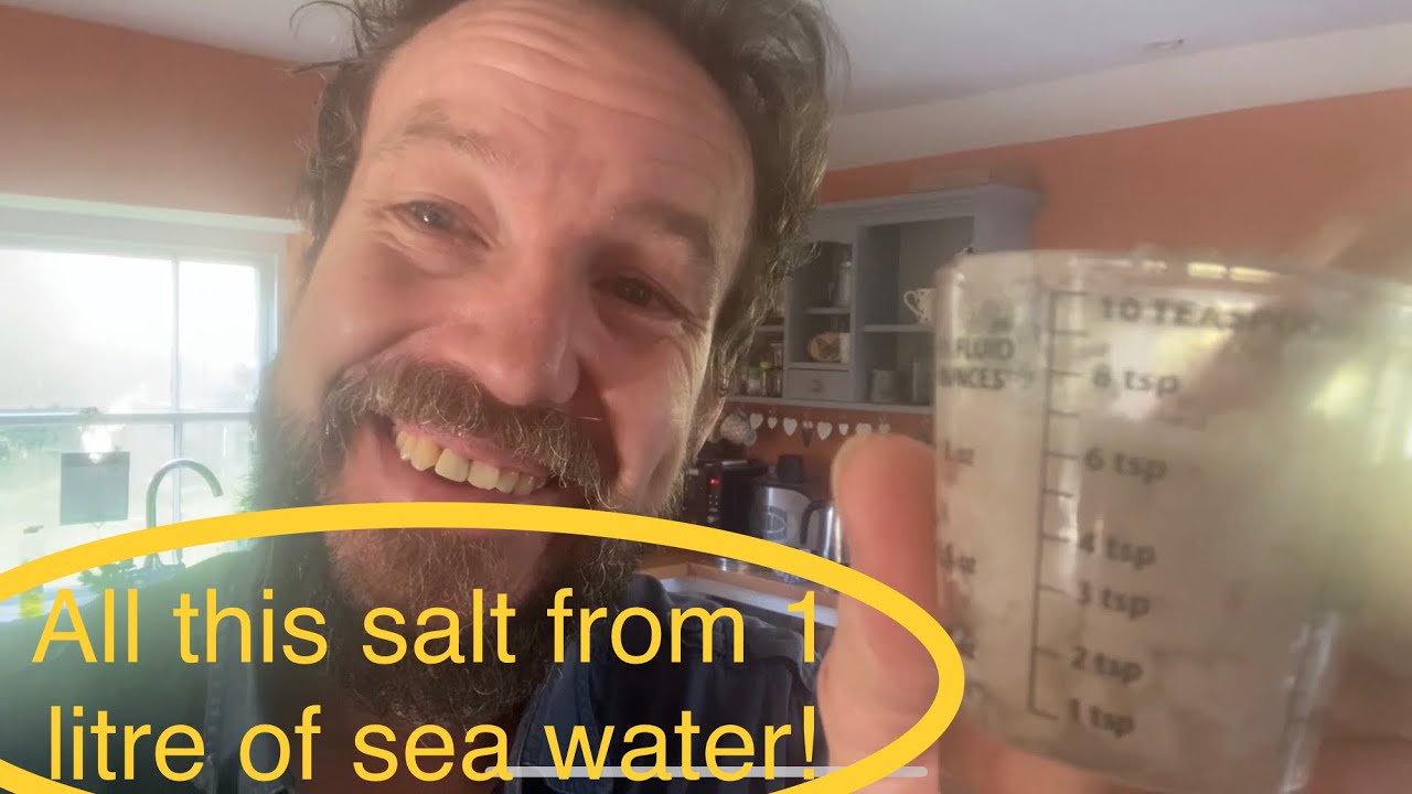 Making my own salt! Spring foraging for sea salt and other wild edibles ...