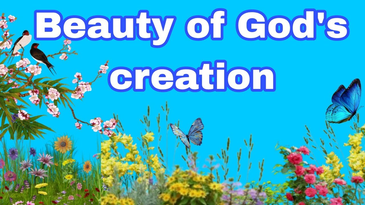 Beauty of God's creation - YouTube