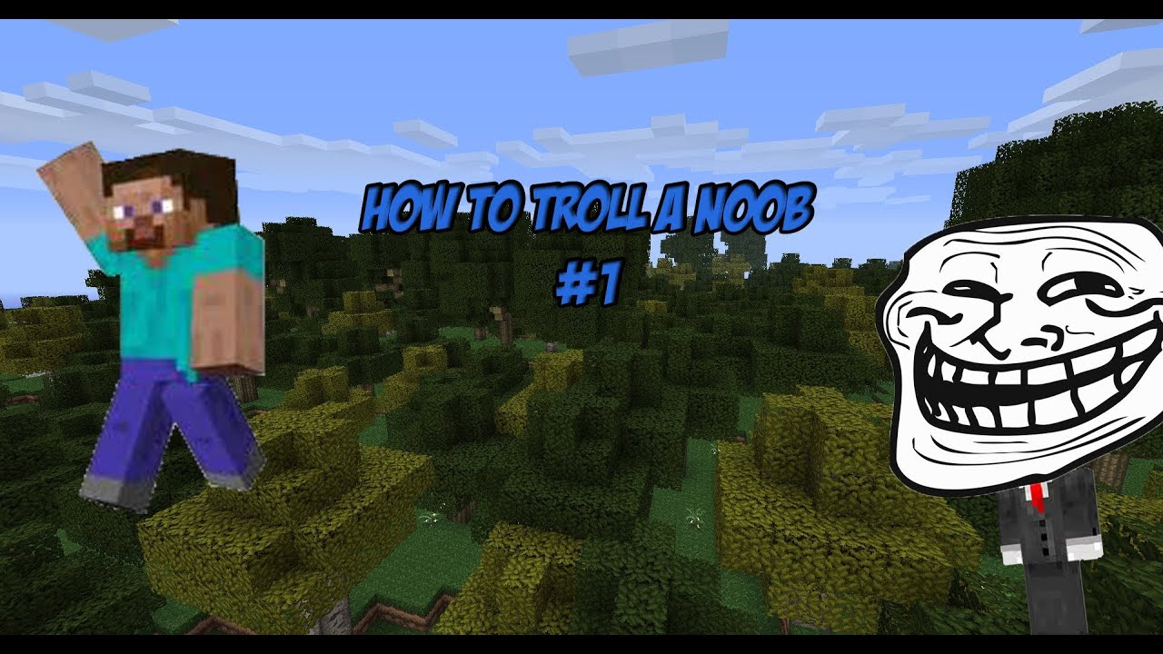 Minecraft - Sketch (How to troll a noob) - YouTube