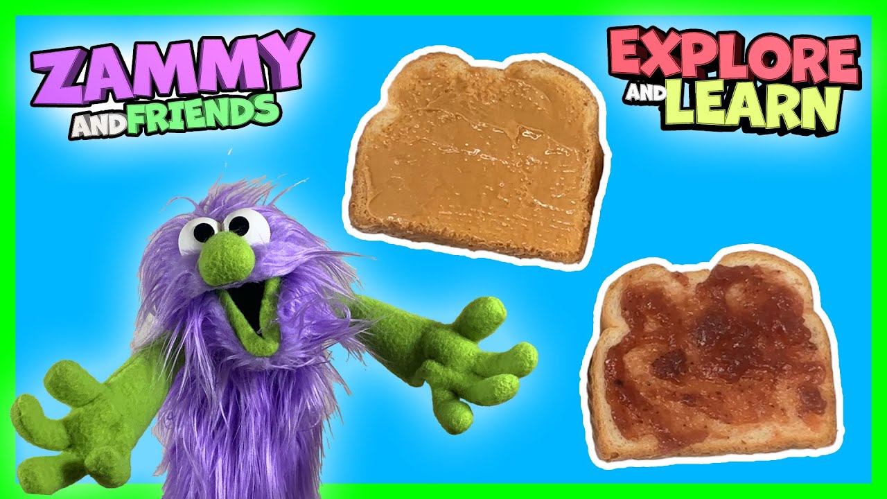 Explore and Learn with Zammy | Let's learn how to make a sandwich ...