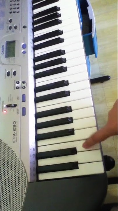 Casio CTK 230 - YouTube