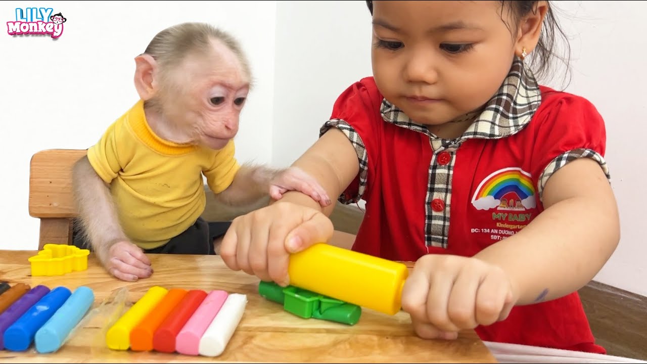 Monkey Lily received a special gift from Ms. Kim - YouTube