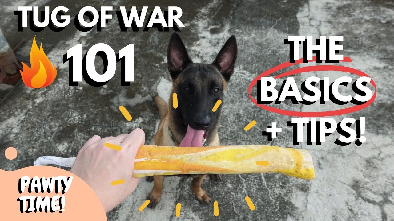 Basic Tips on Playing Tug of War! | How to Play Tug of War With Simple ...
