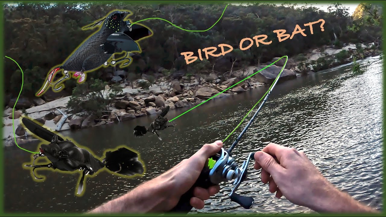 BASS eat BATS! Australian Bass on Weird Surface Lures! 3D Bat and ...