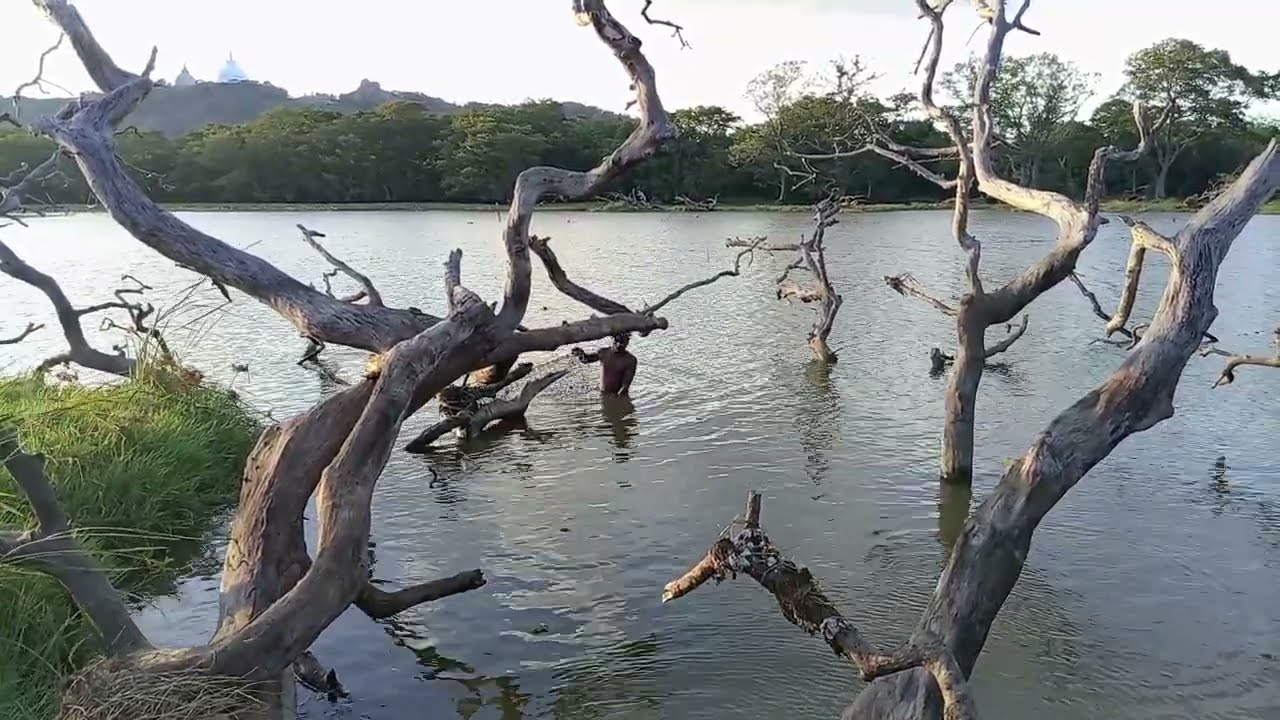 amazing fishing tips keman fish cage in to the lake fishrman - YouTube