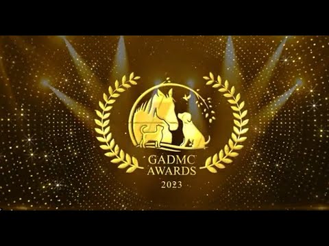 GADMC 2023 Virtual Awards Ceremony - YouTube