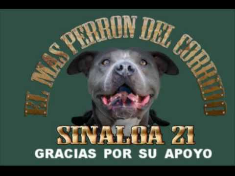 Como Te Quiero Chiquita balada con banda cantautor Sinaloa 21 y su Banda Mezcla Perfecta