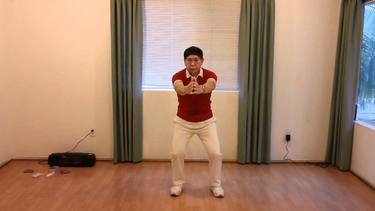 Lin Housheng Shibashi Movement Sample 5 - YouTube