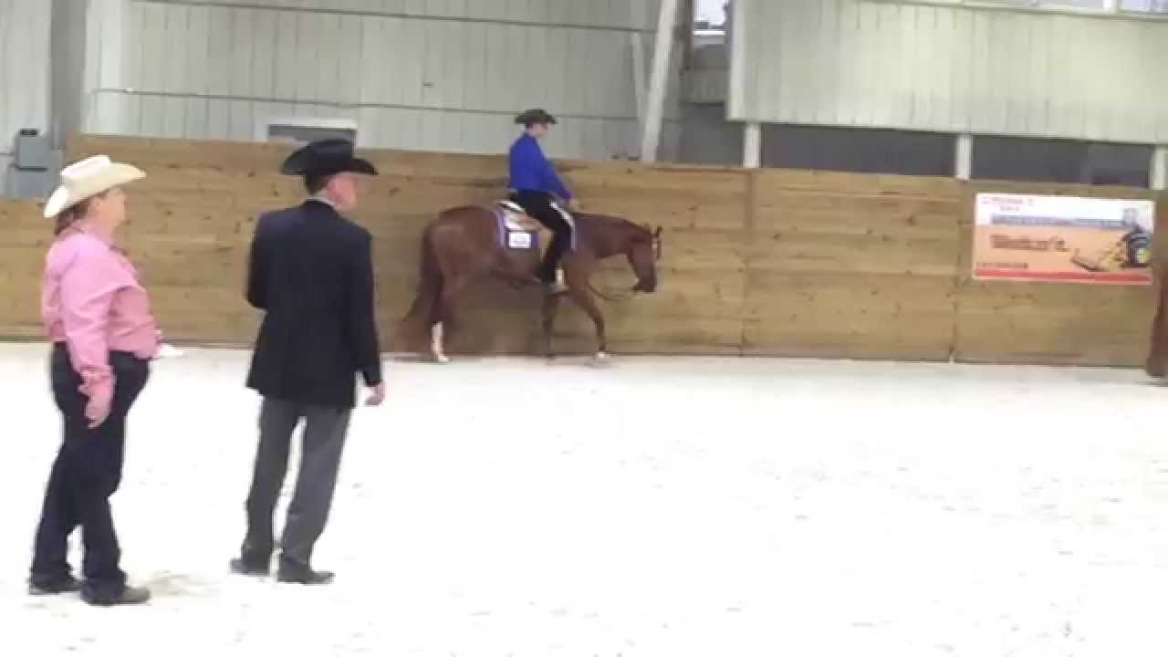 Good At It 2012 CR Good Machine 16H gelding - YouTube