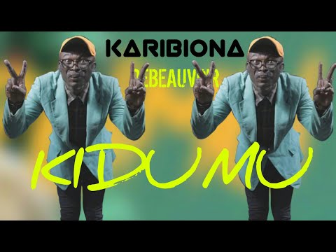 Karibiona - Kidumu