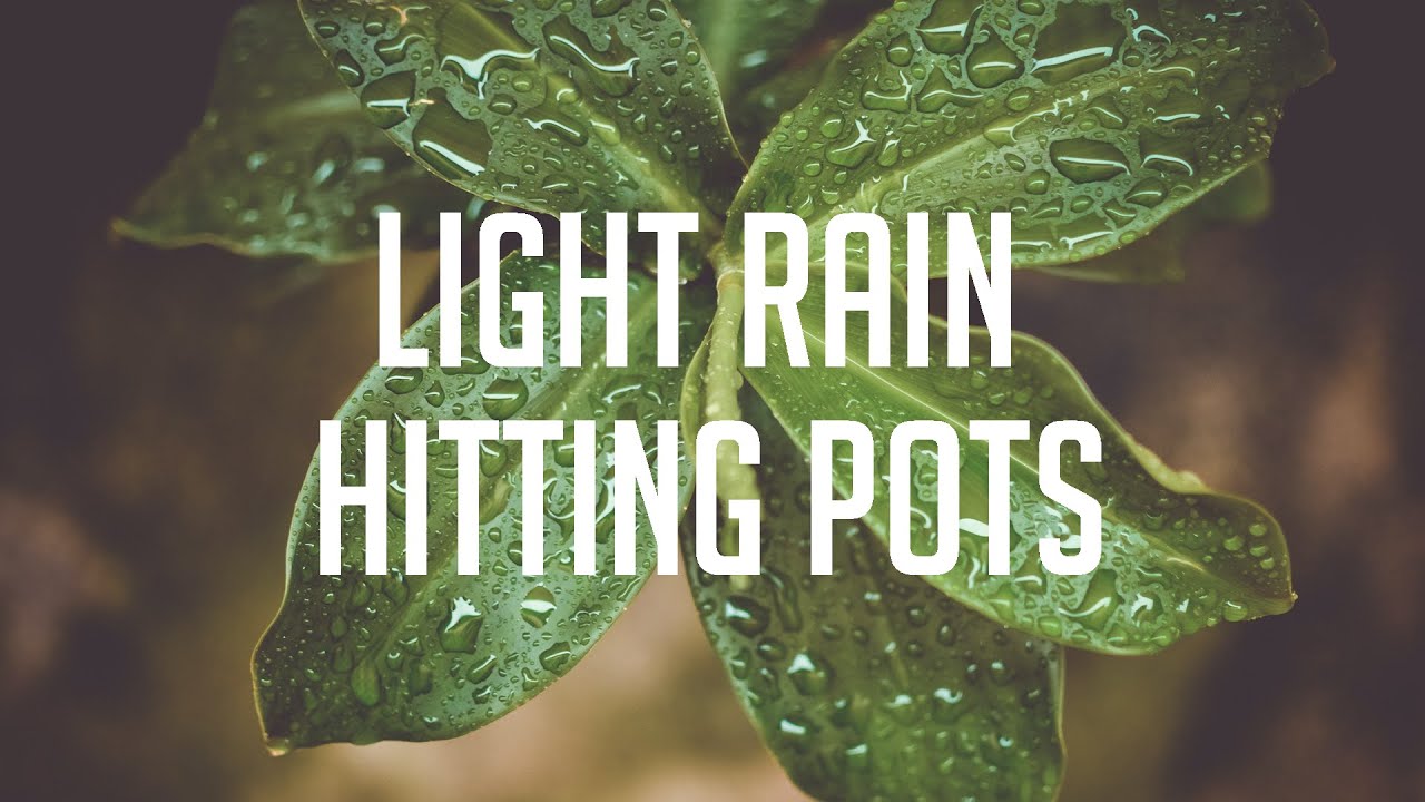 Light Rain Hitting Pots | Relaxing Ambience - YouTube