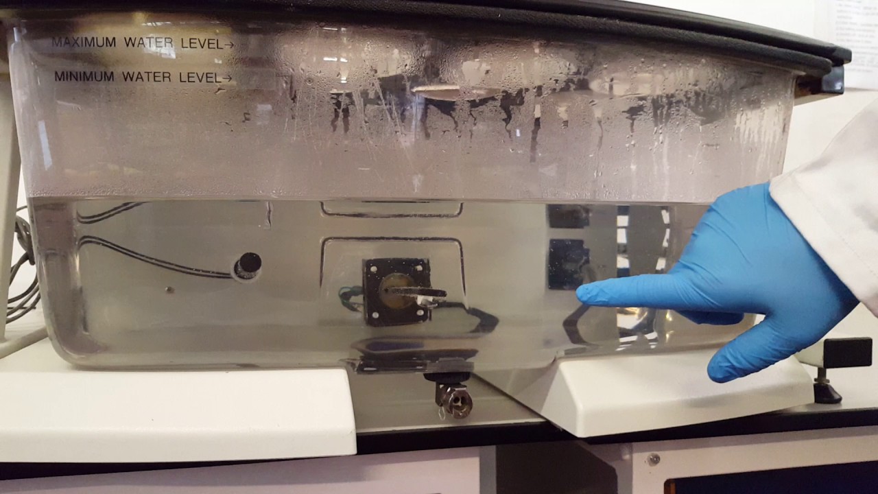 Hanson Virtual Instruments SR8 Plus Dissolution Test Station - YouTube