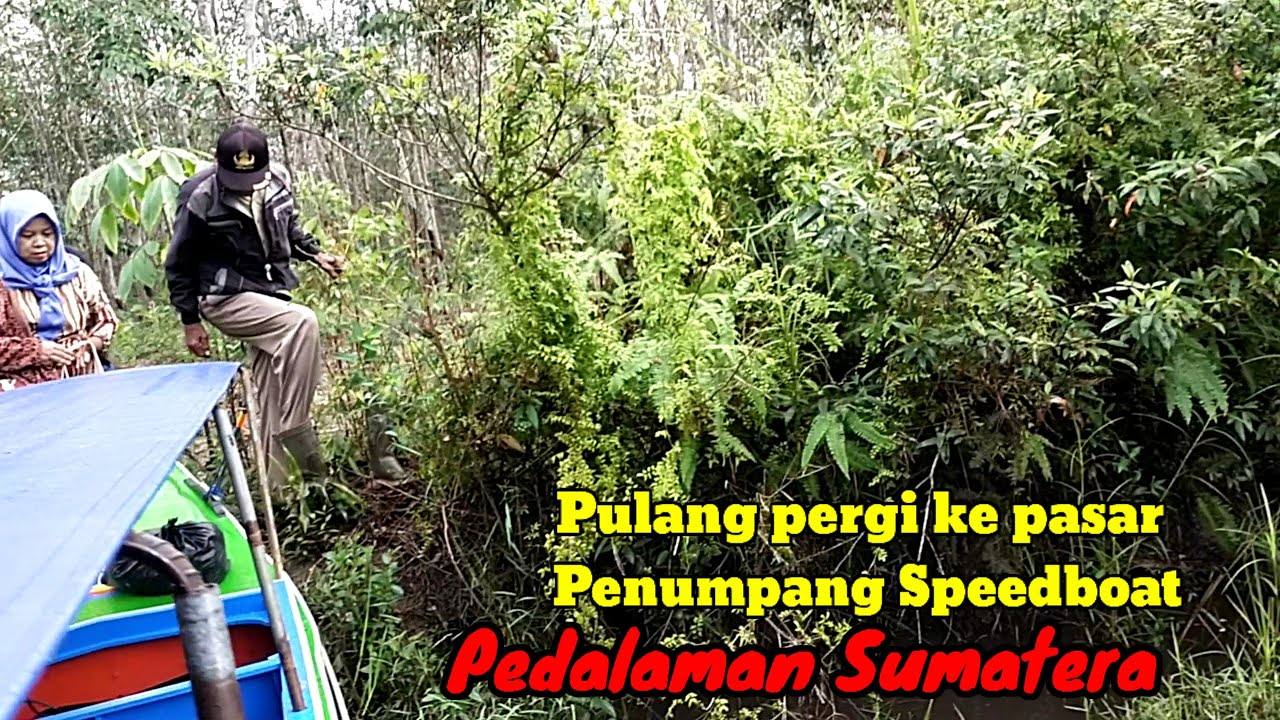 pulang pergi ke pasar penumpang speedboat pedalaman sumatera#muszamedak ...