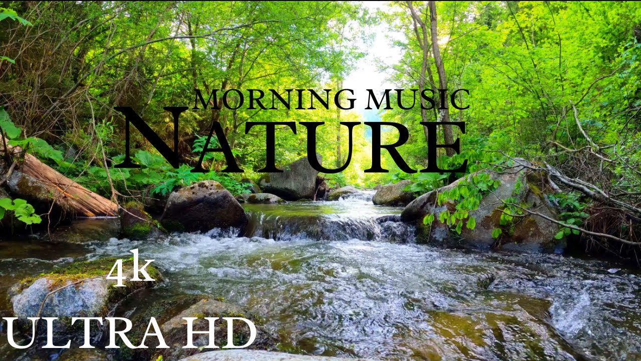 Morning Relaxing Music - Nature Peaceful Relaxing Music - Video UltraHD ...