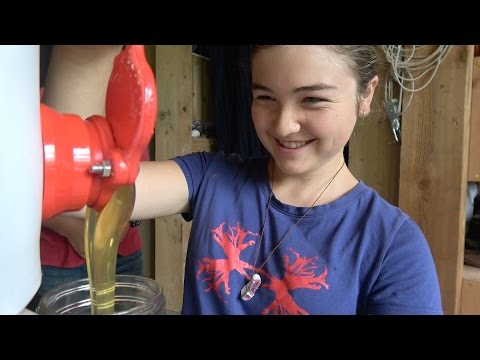 How To Take Bees Milk