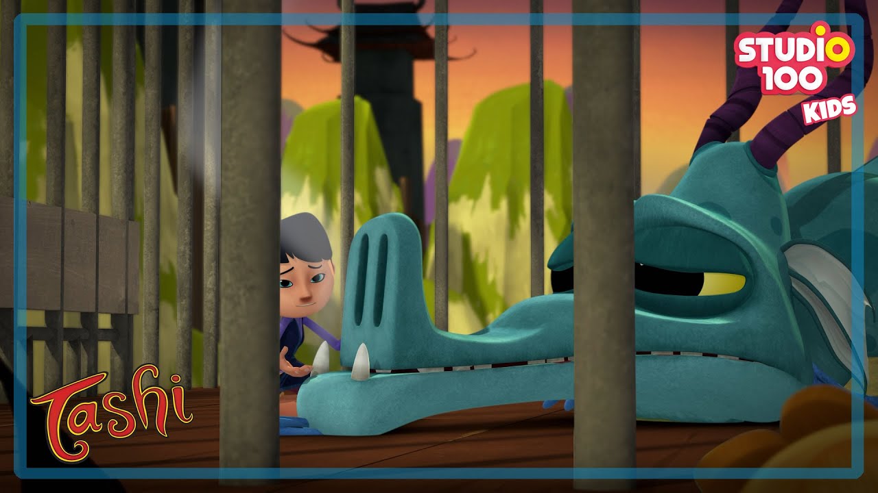 SAFE THE DRAGON - TASHI - Studio100 KIDS - KIDS cartoons☺️😁 - YouTube