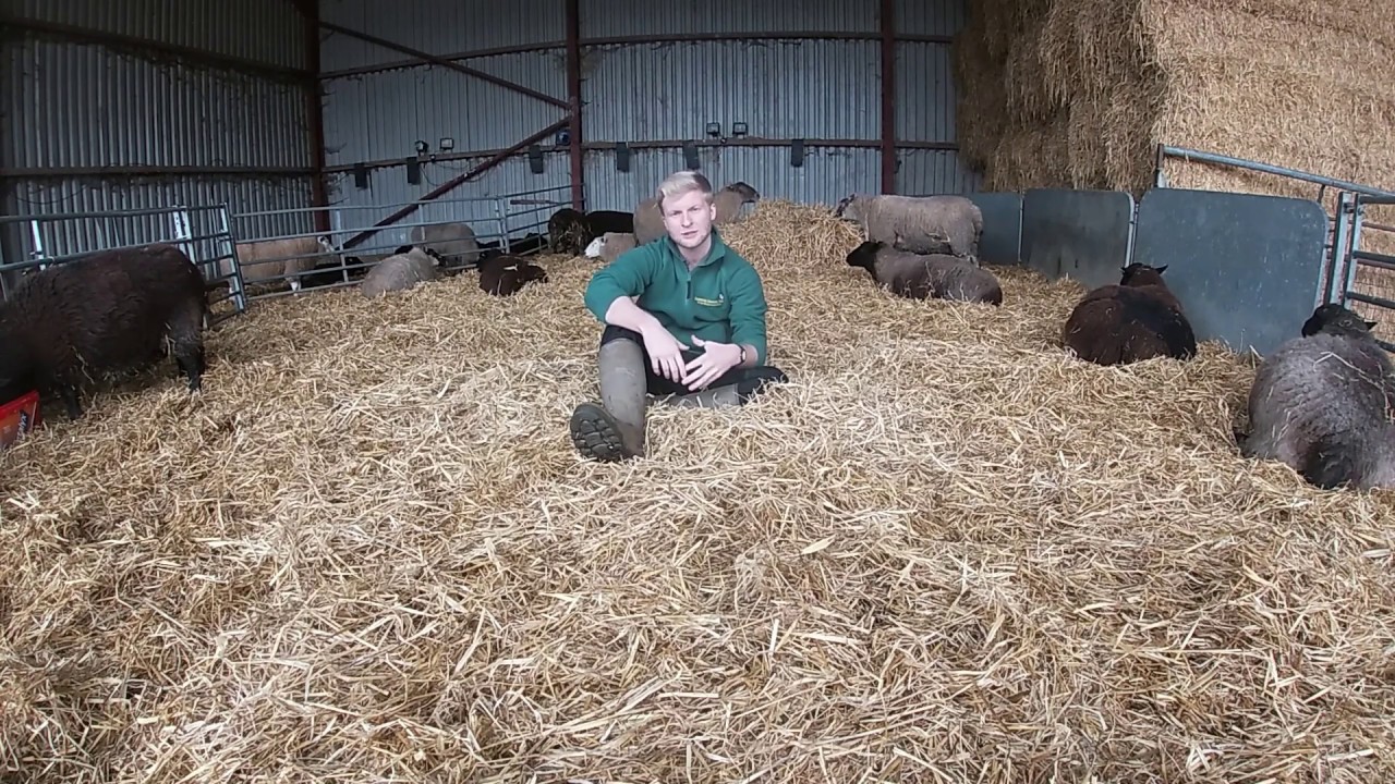 An intro to the Farm Vlogs! - YouTube