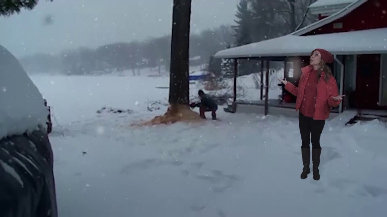 World's Funniest Weather - Man Cuts Tree Down and Accidentally Destroys ...