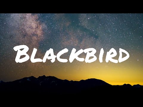 Blackbird (Lyrics) - Paul McCartney / The Beatles