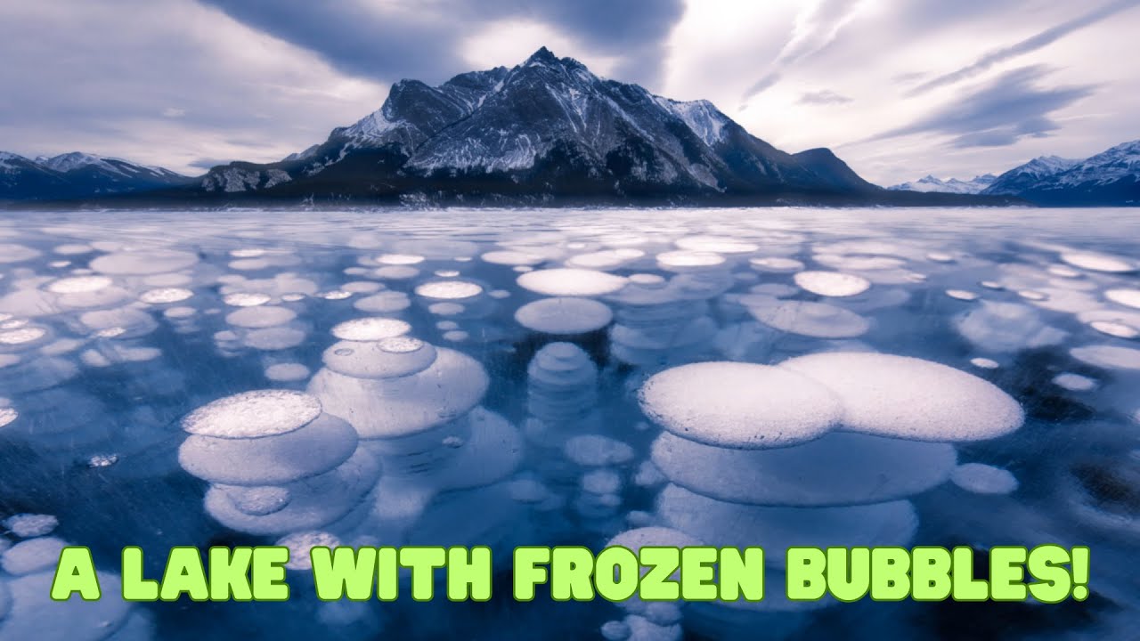 Frozen Methane Bubbles Turn Abraham Lake in Canada Into Winter Magic - YouTube
