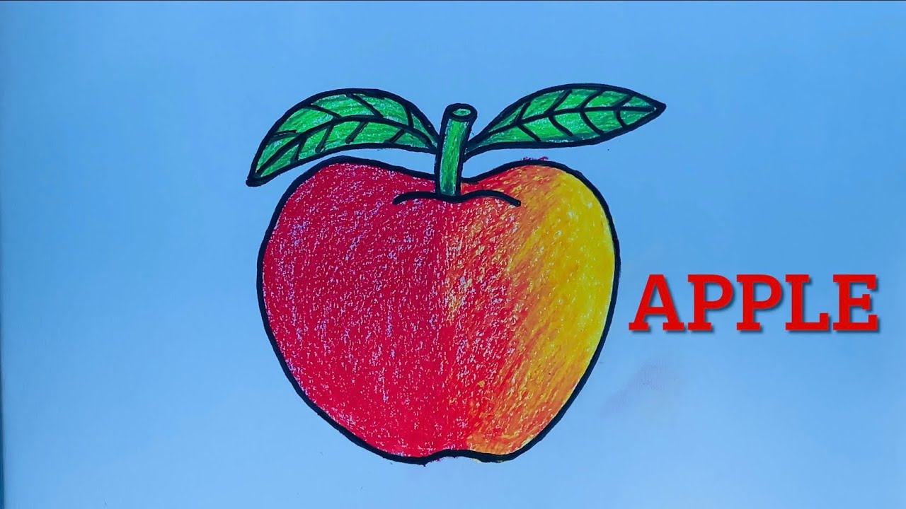 How to draw an Apple / Apple drawing for beginners / Easy Apple drawing ...