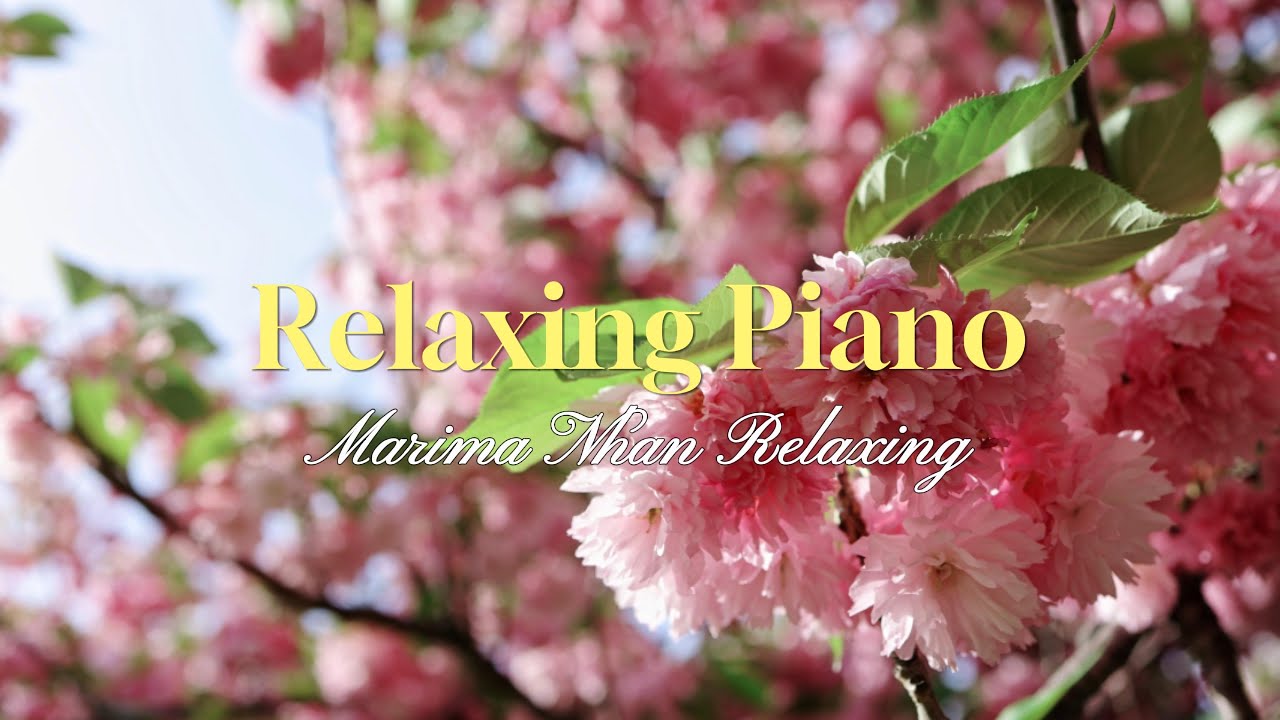 🌺 Morning Harmony | Live Soothing Piano to Awaken Your Senses - YouTube