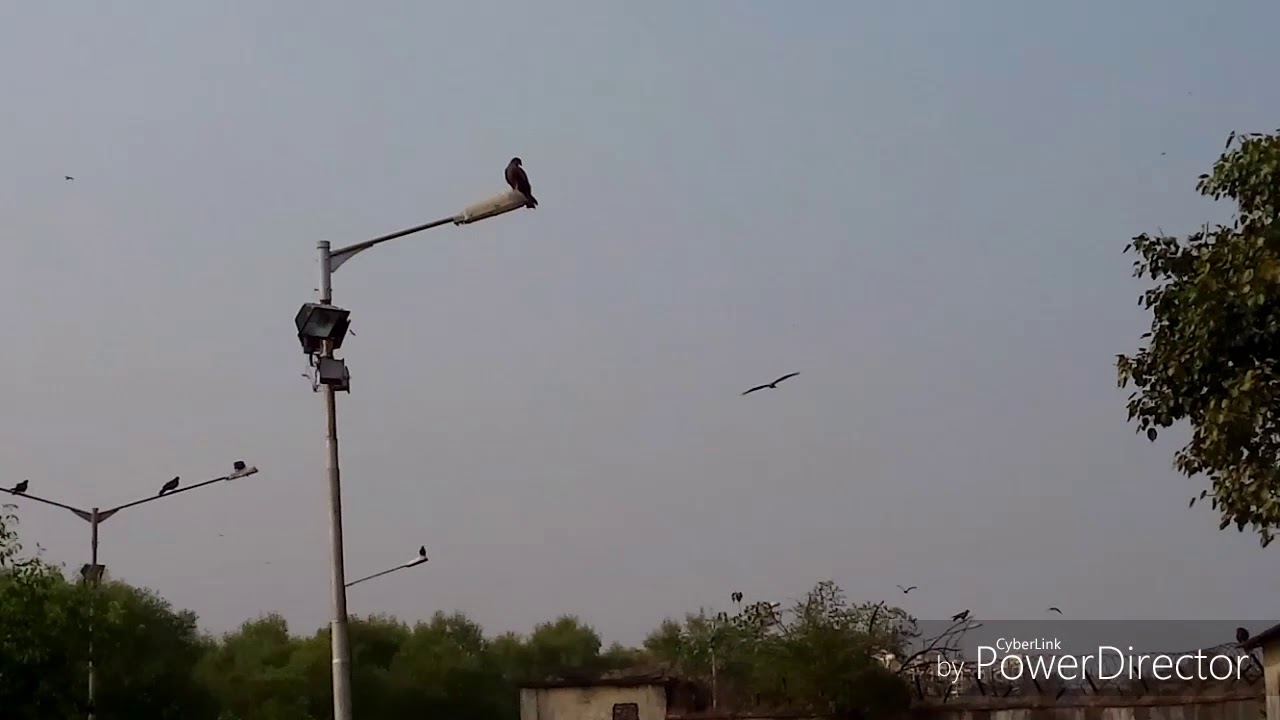 TROMBAY KOLIWADA JETTY. ट्राँम्बे जेट्टी. ;) - YouTube