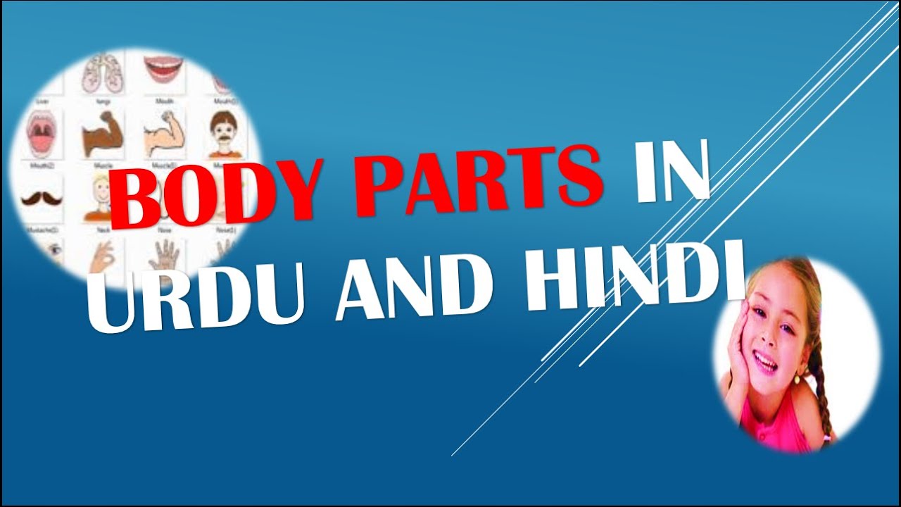 Body Parts in Urdu and Hindi Video 10 of 10 - YouTube