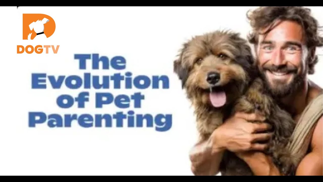 DOG TV The Evolution of Pet Parenting - YouTube