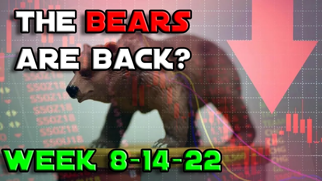 SP500 Heat Map Week 8-14-22 | The Bears are Back? - YouTube
