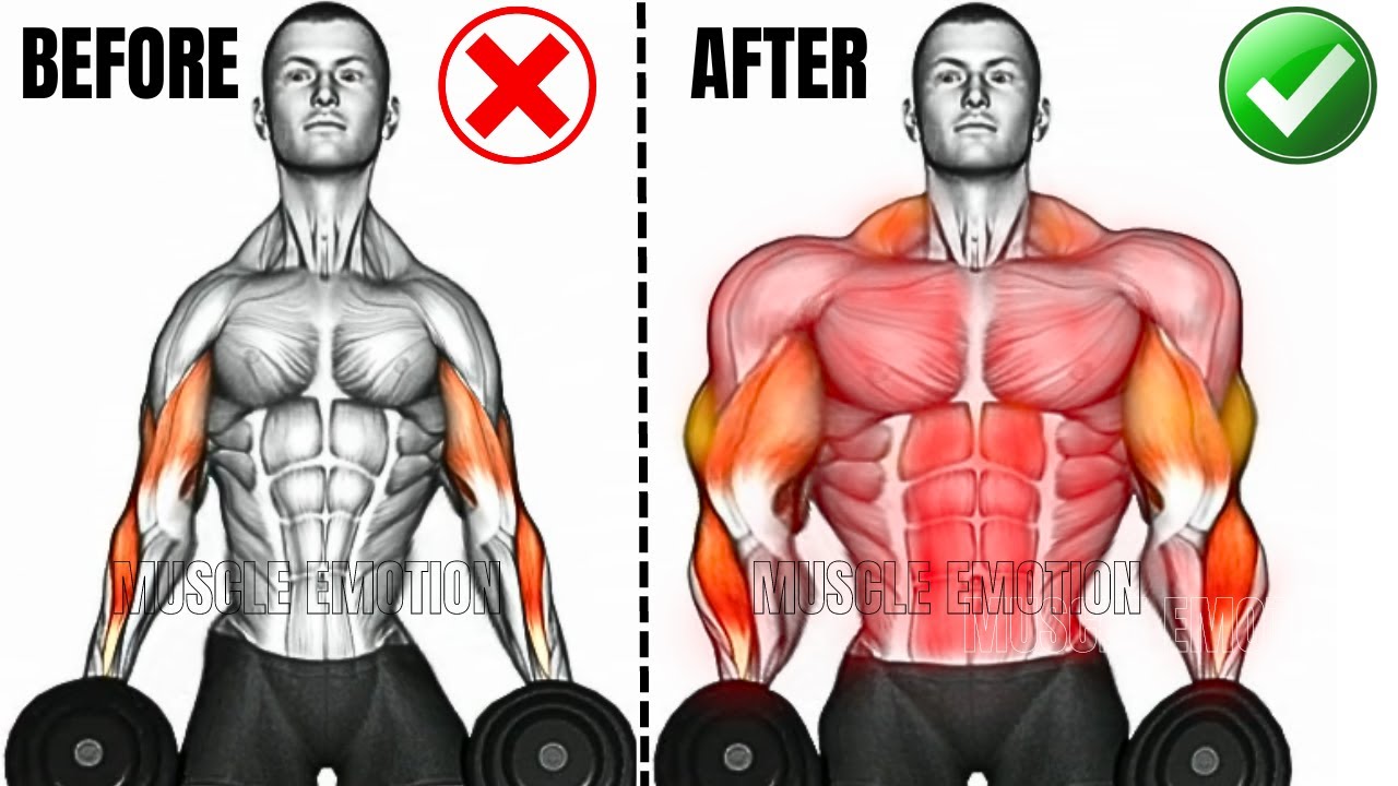 UPPER BODY WORKOUT WITH DUMBELLS (shoulder-forearm - chest - triceps ...