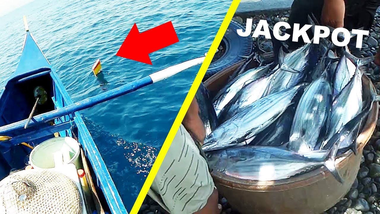 Skipjack Tuna Amazing Traditional Fishing - Using Prawn or Shrimp ...
